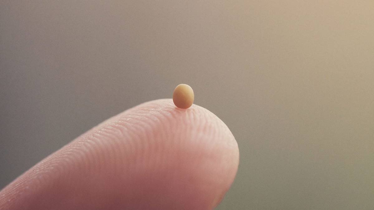 Let My Faith Be As Big As A Mustard Seed – Agape Review